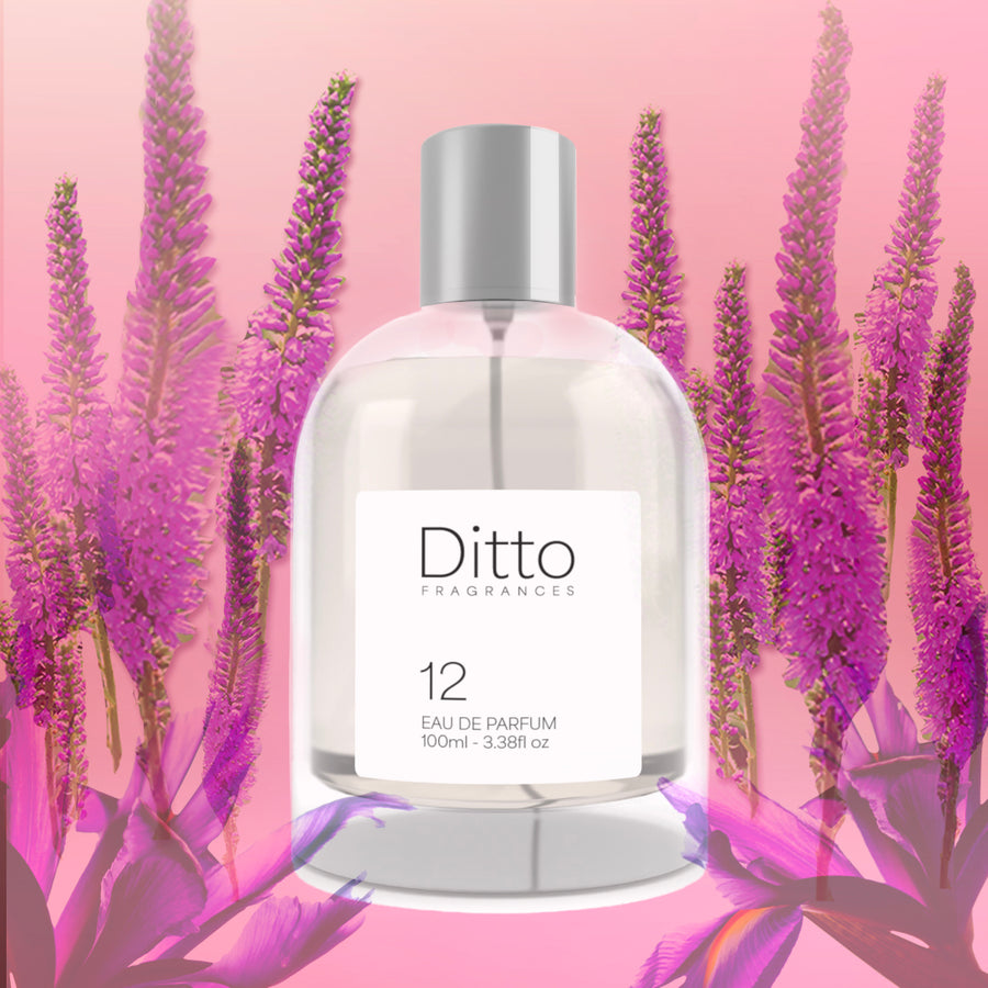Ditto Fragrances | Designer Inspired Scents