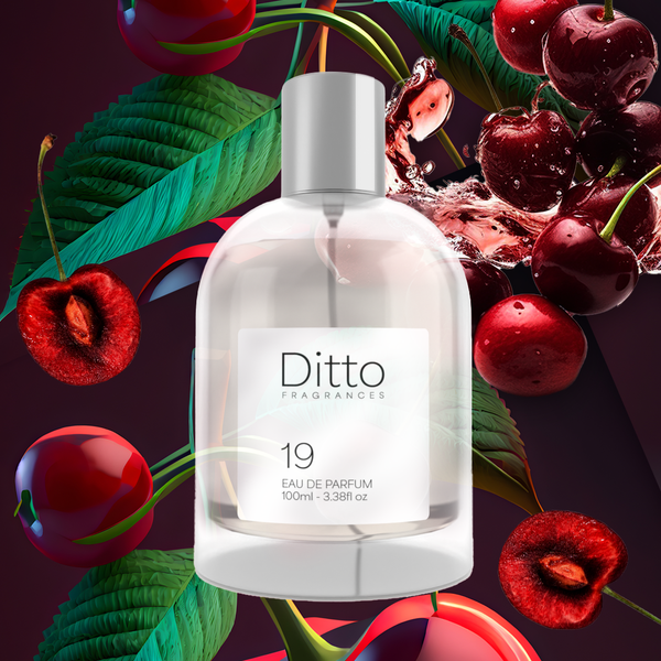 Ditto Fragrances | Designer Inspired Scents