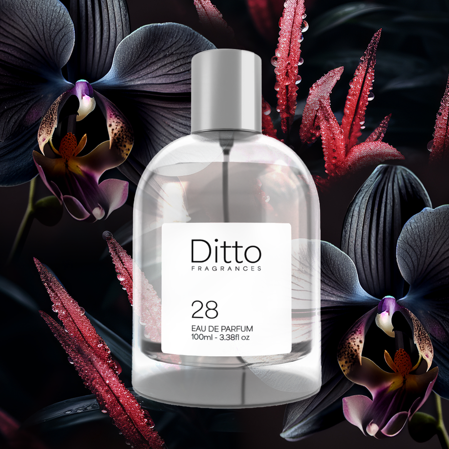 Ditto Fragrances | Designer Inspired Scents