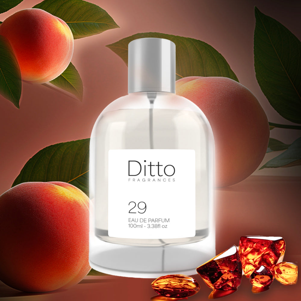 Ditto Fragrances | Designer Inspired Scents