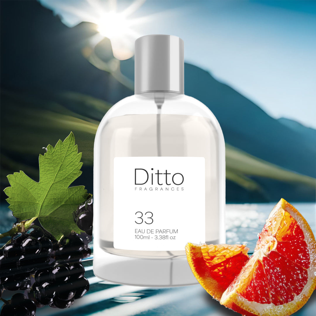 Inspired By Silver Mountain Water - 33 | Ditto Fragrances