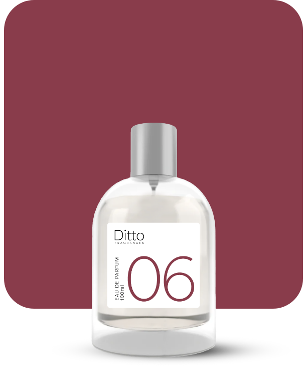 Ditto Fragrances | Designer Inspired Scents